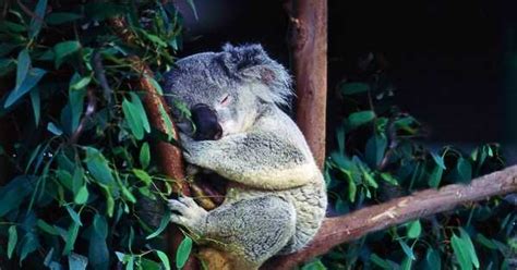 Suppress Noise In 3 Lines Of Python Picovoice