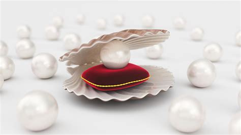 빨간 벨벳 베개 안에 진주가 있는 조개 보석 여성 쥬얼리 감아 구슬 배너 포스터 로고 반짝이는 바다 진주 조개 아름 다운 진주 3d 그림 가까운에 대한 스톡 사진 및 기타