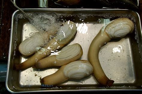 No Sauce Required SEX Catalyst