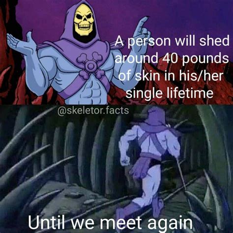 Skeletor Facts Will Be Back Meme Templates
