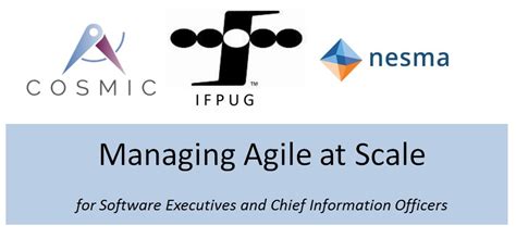 Ifpug Cosmic And Nesma Release The Paper “managing Agile At Scale