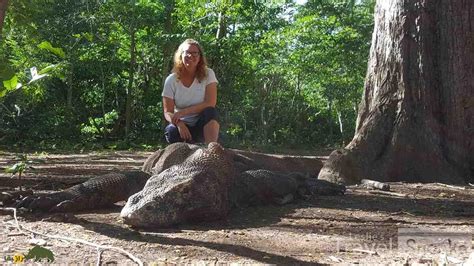 دکتر اژدها؛ ماجرای زنی که اژد‌های کومودو را به صرف چای دعوت کرد