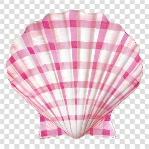 Png Shell Shape Collage Cutout Invertebrate Seashell Seafood Premium Ai Generated Psd