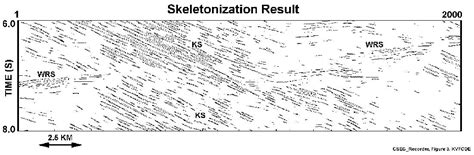 Seismic Skeletonization A Useful Tool For Geophysical Data Analysis
