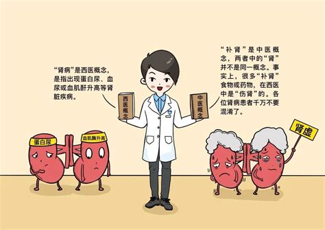 肾不好是因为纵欲过度患有肾病不能喝太多水抽烟和肾没关系谣言终结者来了 澎湃号政务 澎湃新闻 The Paper