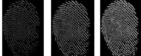 Figure 3 From A Novel Fingerprint Minutiae Based Authentication