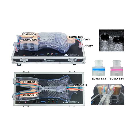 Ecmo S03 Spare Parts Ecmo Cannulation And Endovascular Procedures