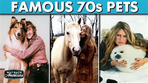 Youll Never Forget These 1970s Pets Youtube