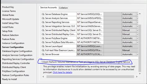 Database Instant File Initialization Setup In Sql 2016