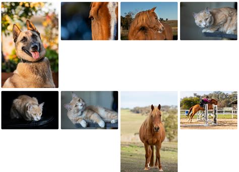 Masonry Layout For Woocommerce Generatepress