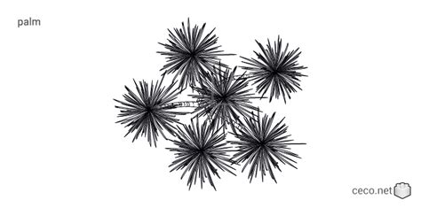 Autocad Trees Plan View Different Types Of Landscaping Trees And