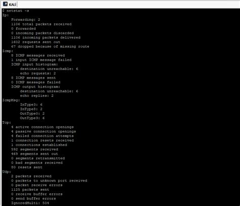 What Is Netstat Example With Netstat Commands Systemconf