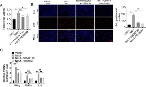 Ntrk1 Might Promote The Viability Proliferation And Inflammatory Download Scientific Diagram