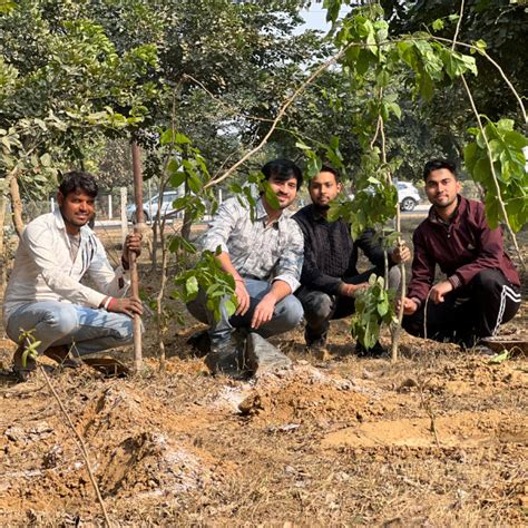 Best Native Trees To Grow In Sikkim Grow Billion Trees