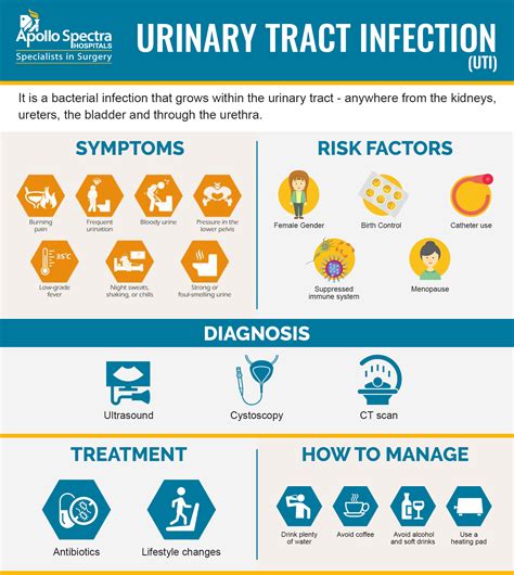 Understanding Urinary Tract Infections Uti Symptoms And Prevention