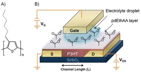 Electronics Special Issue Recent Advances In Organic Bioelectronics