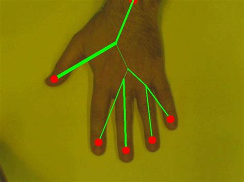 some illustrations of the performance of the hand detection algorithm