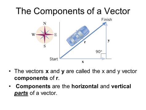 Parts Of A Vector At Vectorified Com Collection Of Parts Of A Vector Free For Personal Use