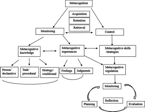 Validation Of Metacognitive Academic Writing Strategies And The