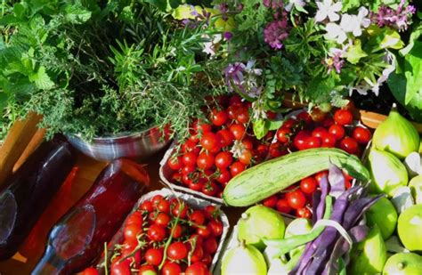 Agileadvisors Esg Sustainability Lowcarbon Cop28 Carbonneutral Uaefoodsecurity