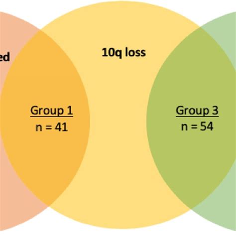 A Graphical Representation Of Overlap Or Lack Thereof Of The Four