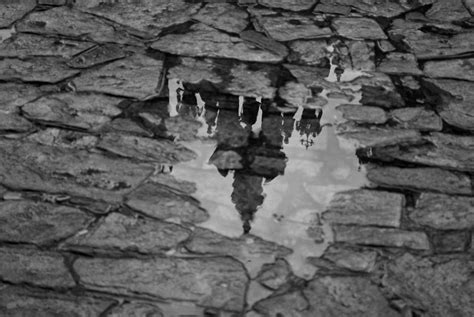 ultreia et suseia todo camino tiene su charco