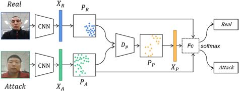 The Structure Diagram Of Generating Pseudo Negative Features For Face Download Scientific