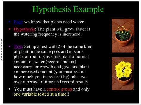 Ppt Scientific Investigations Powerpoint Presentation Free Download Id 20382