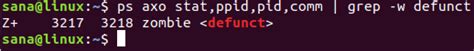 How To Kill Zombie Processes In Ubuntu VITUX