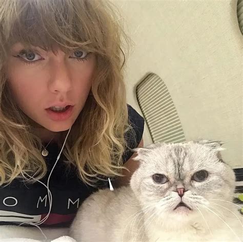 Taylor Swifts Cats Olivia Benson And Meredith Greys Net Worths Are