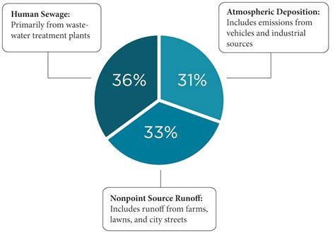 Where Does All This Nitrogen Pollution Come From • Friends Of Casco Bay