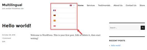 How To Fix Styling And Css Issues For The Language Switchers Wpml