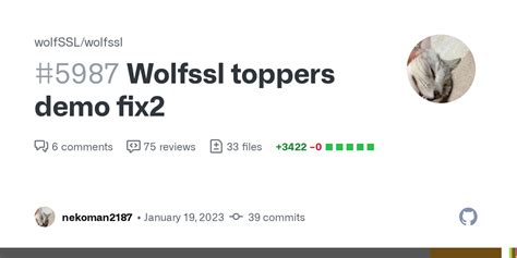 Wolfssl Toppers Demo Fix2 By Nekoman2187 · Pull Request 5987 · Wolfssl
