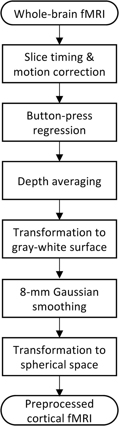 Preprocessing And Transformation Of The Collected Whole Brain Fmri Data Download Scientific