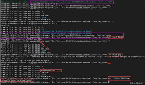 ctfhub技能树 web 信息泄露 详解 flag in index php source code csdn博客