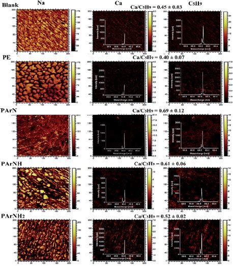 E Ff Ects Of Nitrogen Functionalities On Calci Fi Cation Of Bmscs And