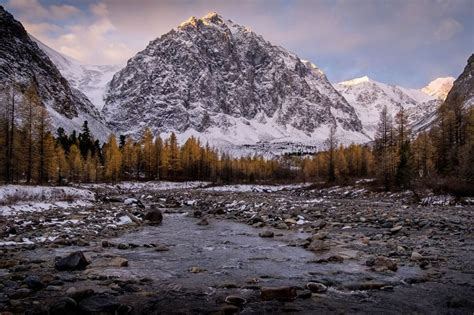 ქართველები შვედეთში საქმიანი ჩატი