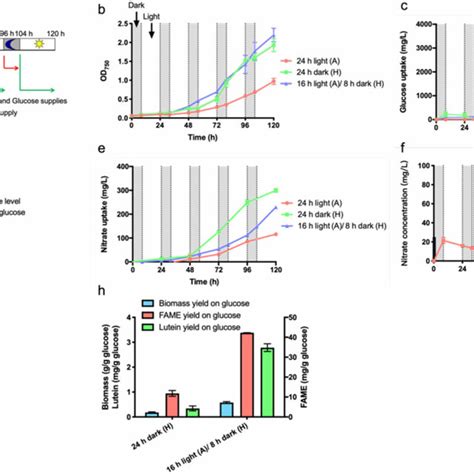 Simulation Of Different Process Control Algorithms A Simulink Model