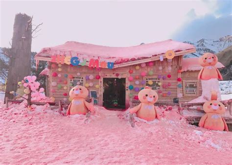 阿坝鹧鸪山滑雪场 门票观光车 滑雪票马蜂窝自由行 马蜂窝自由行