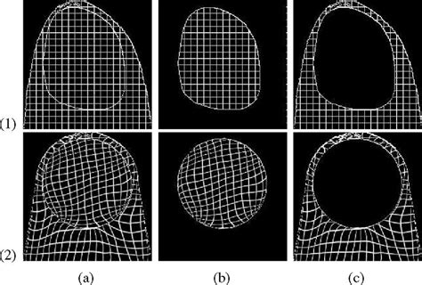 Deformation Mapping Shown With Grids Row 1 Shows The Source Images