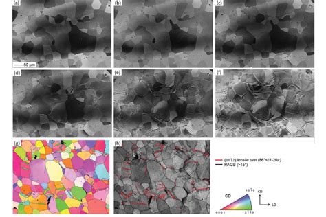 ECC Images Of The Microstructure Development During Compression Of Download Scientific Diagram