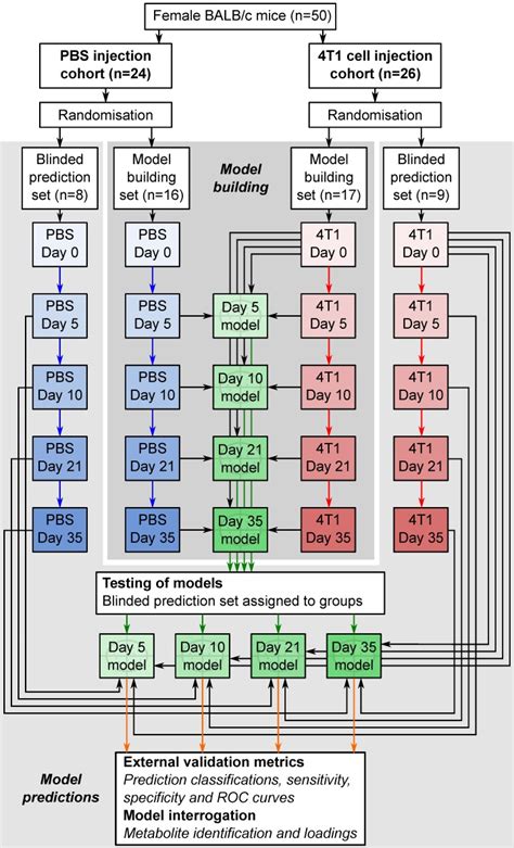 Early Diagnosis Of Brain Metastases Using A Biofluids Metabolomics Approach In Mice Pmc