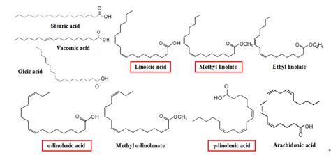 Fatty Acid Methyl Ester Manufacturer Exporter Supplier In Chennai India
