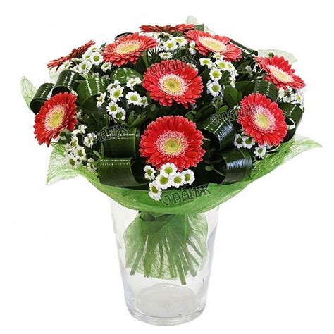 Букет из мини гербер и хризантемы Сантини — фото 1 Мини Герберы Хризантемы