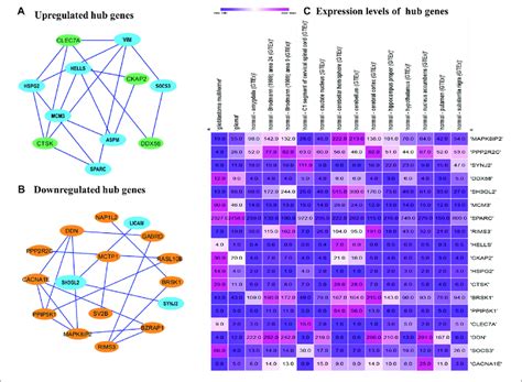Protein Protein Interaction Network Of The Overlapped Degs A