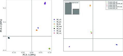 Pca Left Plot And Dapc Right Plot Obtained From Using A Full Set Of