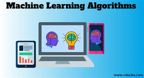 Machine Learning Algorithms Types And Popular Algorithms