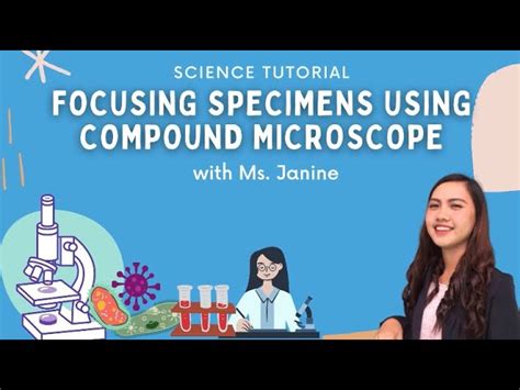 Compound Microscope Specimen Images