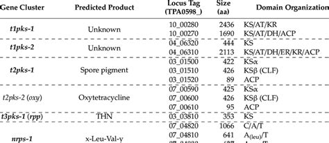 Polyketide Synthase Pks And Nonribosomal Peptide Synthetase Nrps In Download Scientific