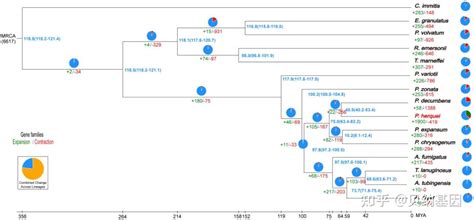 合作文章 真菌基因组和比较基因组学分析揭示青霉菌 Euops象鼻虫共生的分子机制 知乎